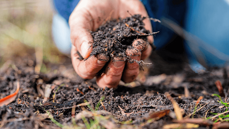 Ocara lança projeto Ouro Branco e Programas Hora de Plantar e Ocara ...